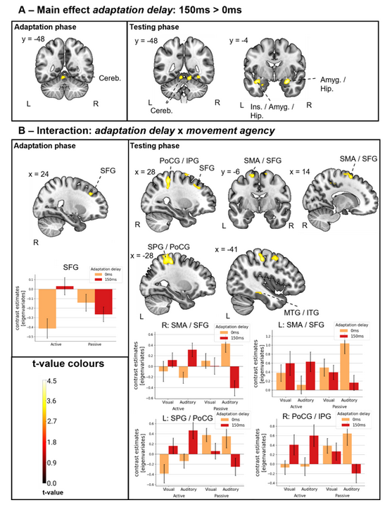Paper accepted #ScientificReports!!! An fMRI study about temporal ...